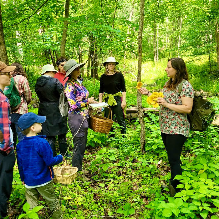 Wild Hudson Valley | Great Northern Catskills of Greene County